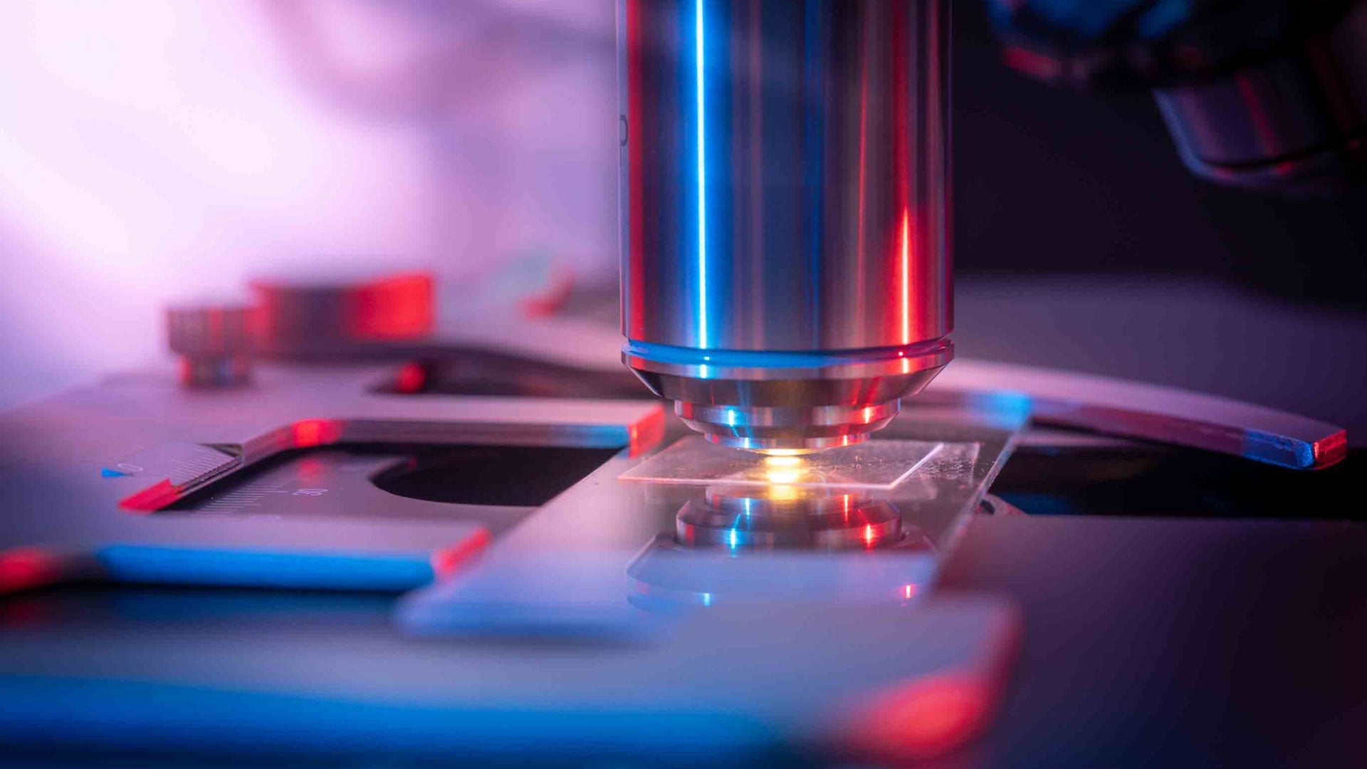 The Active Investor: Growth Equity Through the Lens of AI and Innovation